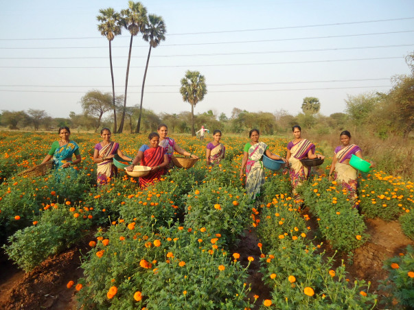 Empowering & Energising Rural Communities | Milaap