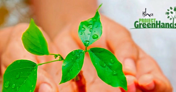 Plant Trees with Project Green Hands! | Milaap