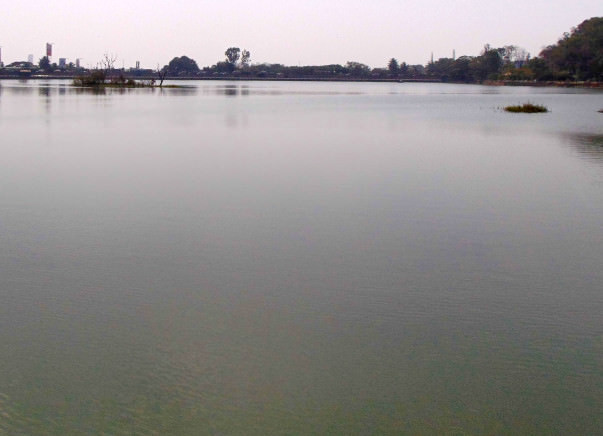 Peace Ride: Restoration of Sankey Tank, Malleshwaram | Milaap